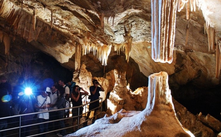 행복한세상 칼즈배드 동굴국립공원 Carlsbad Caverns National Park